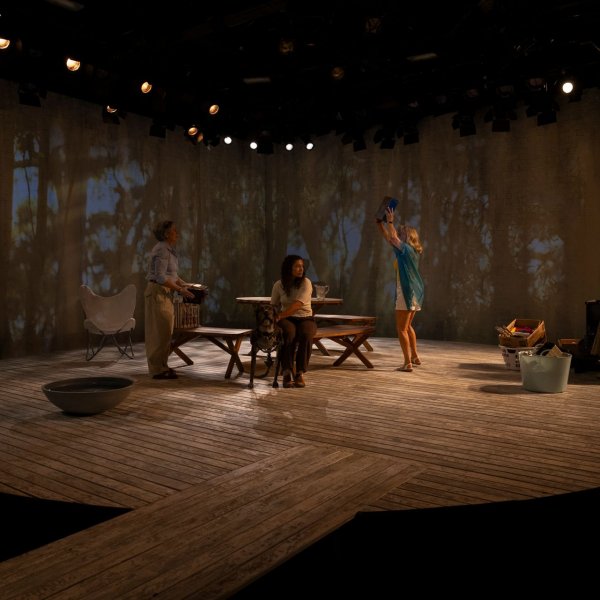 The Weekend | Stage Noise - Diana Simmonds