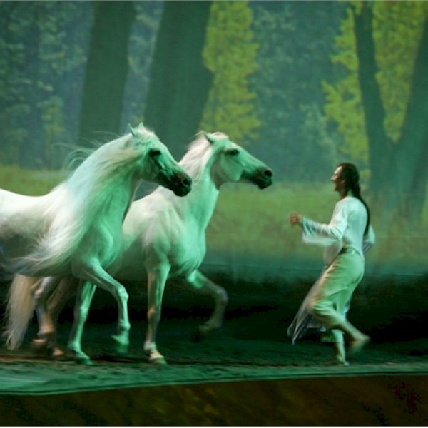 Cavalia | Stage Noise - Diana Simmonds